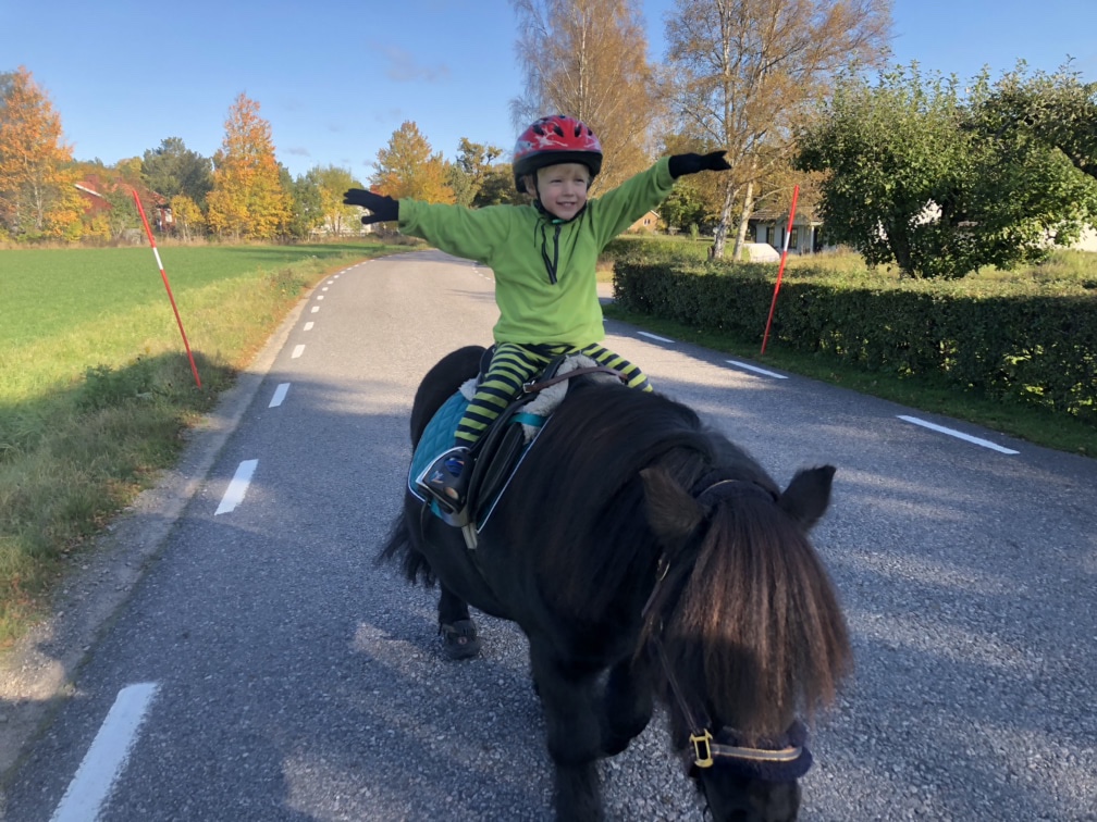 Solig torsdag | LoviseC